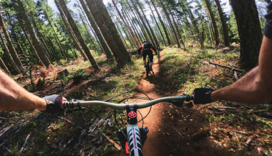 GoPro Action Sport Cameras | HERO11 Available Now | Sportchek