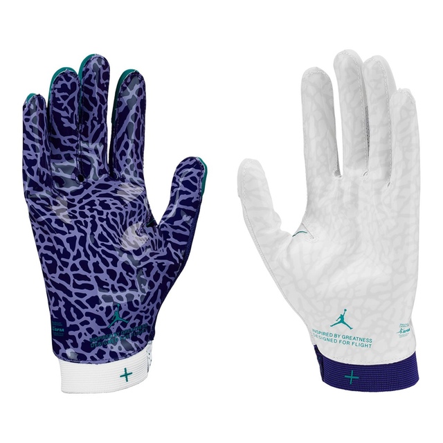 Jordan Fly Football Gloves | SportChek
