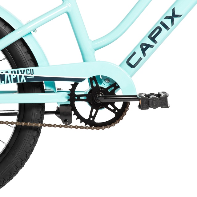 Capix Carpesa 20" Junior Cruiser Mountain Bike | SportChek