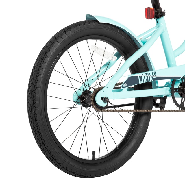 Capix Carpesa 20" Junior Cruiser Mountain Bike | SportChek