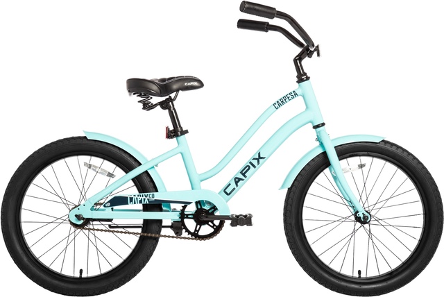 Capix Carpesa 20" Junior Cruiser Mountain Bike | SportChek