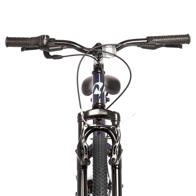 Nakamura Pristine 24 Inch Junior Mountain Bike | SportChek