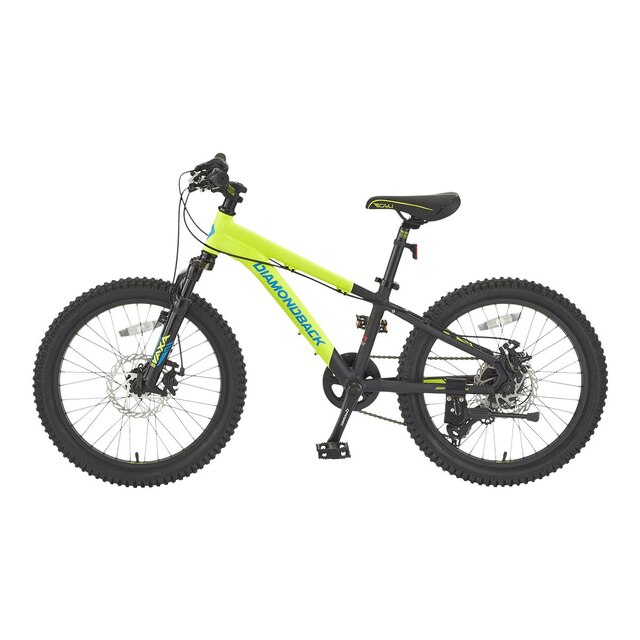 Diamondback Snake 20 Inch Junior Mountain Bike | Sportchek