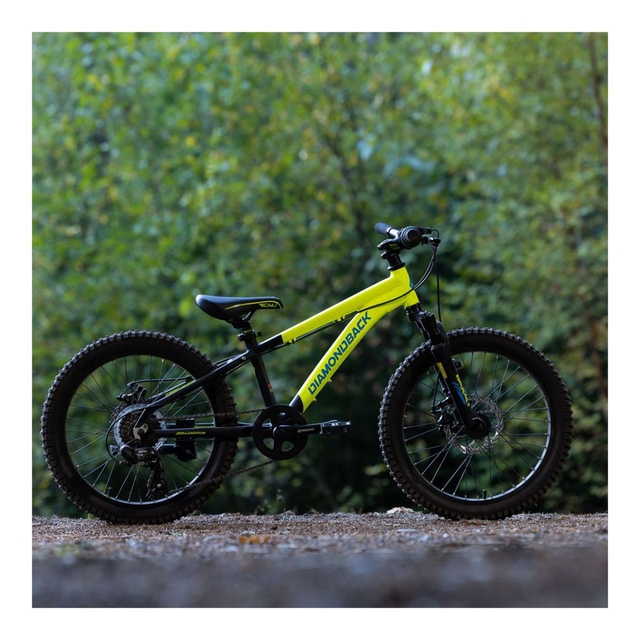 Diamondback Snake 20 Inch Junior Mountain Bike | SportChek