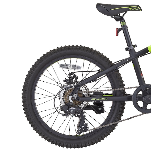 Diamondback Snake 20 Inch Junior Mountain Bike | Sportchek