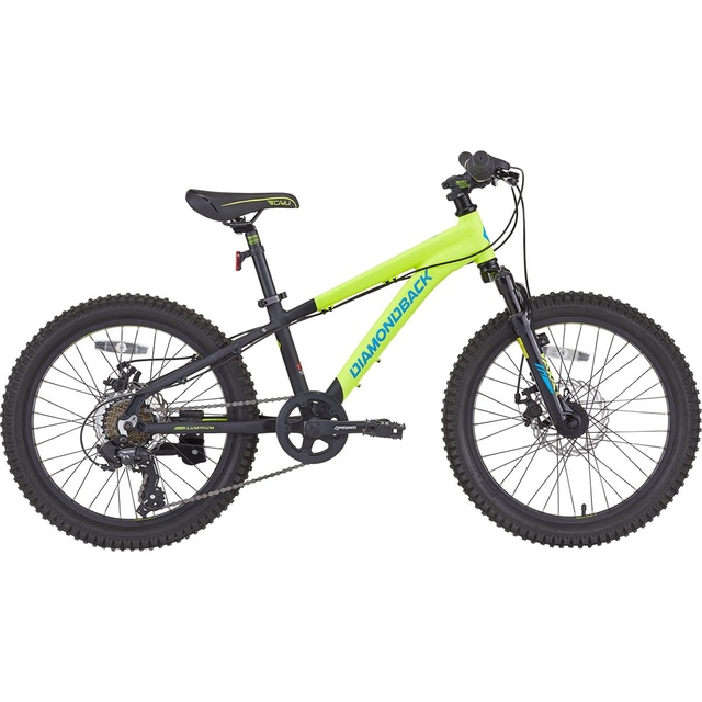 Diamondback Snake 20 Inch Junior Mountain Bike | SportChek