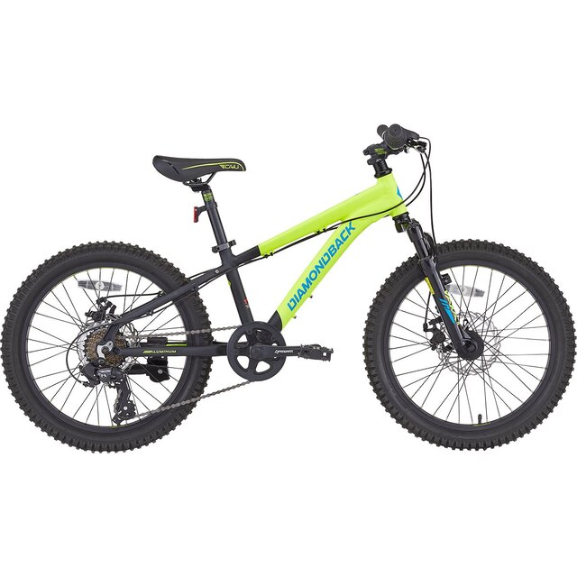 Diamondback Snake 20 Inch Junior Mountain Bike | Sportchek