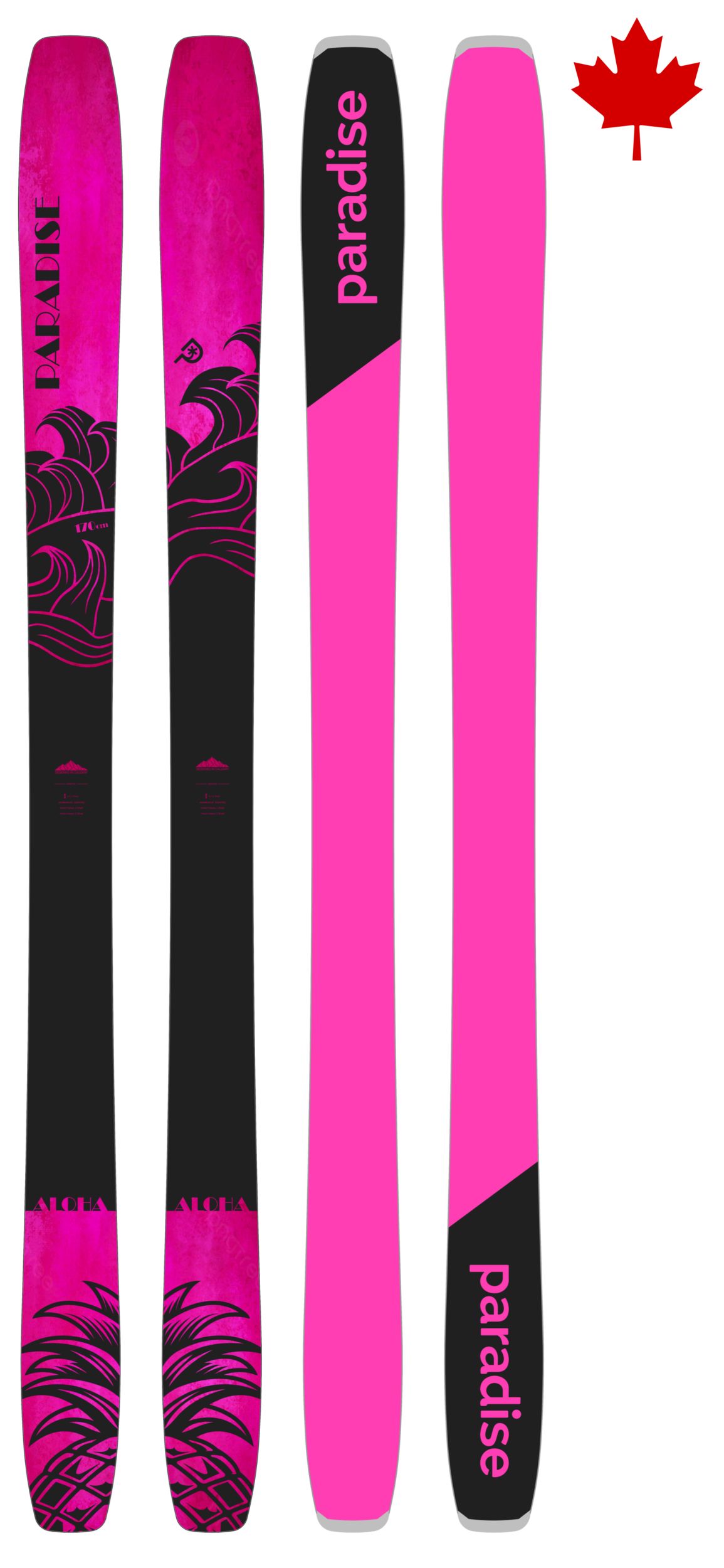 Paradise Unisex Aloha 161 Frontside Skis 2024 | SportChek
