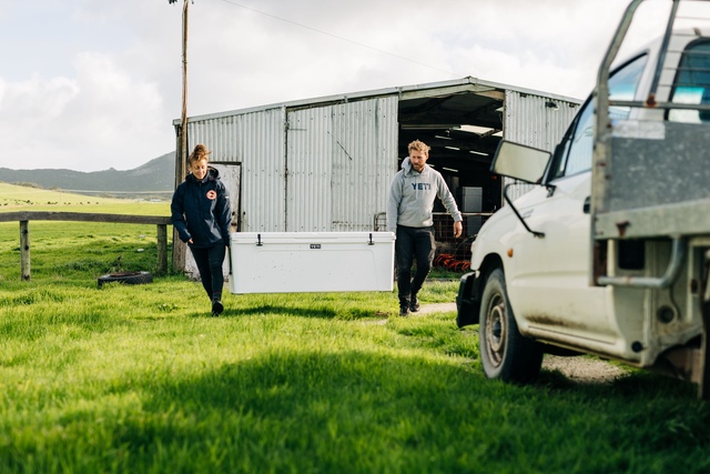 YETI Tundra® 350 Hard Cooler | SportChek