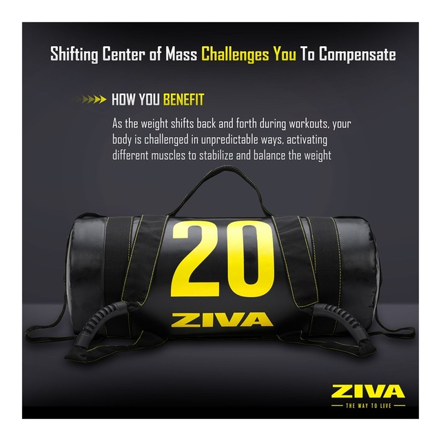Ziva Power Core 30 lb Bag | SportChek