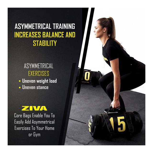 Ziva Power Core 50 lb Bag | SportChek