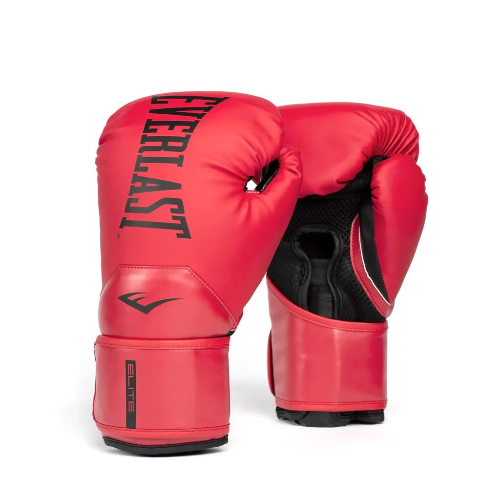 Everlast Elite 2 16 oz Boxing Gloves | SportChek