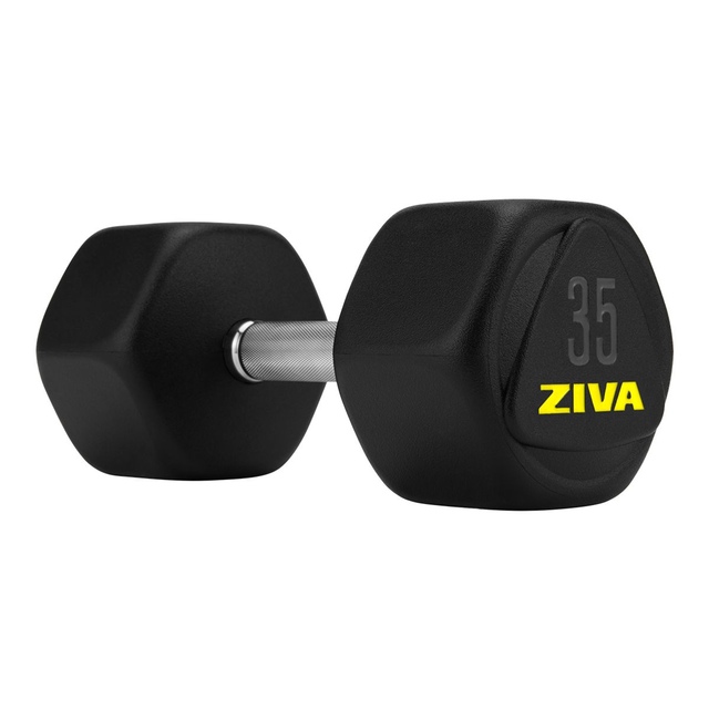 Ziva Performance 35 lb Hex Dumbbell, Weight, Home Gym | SportChek