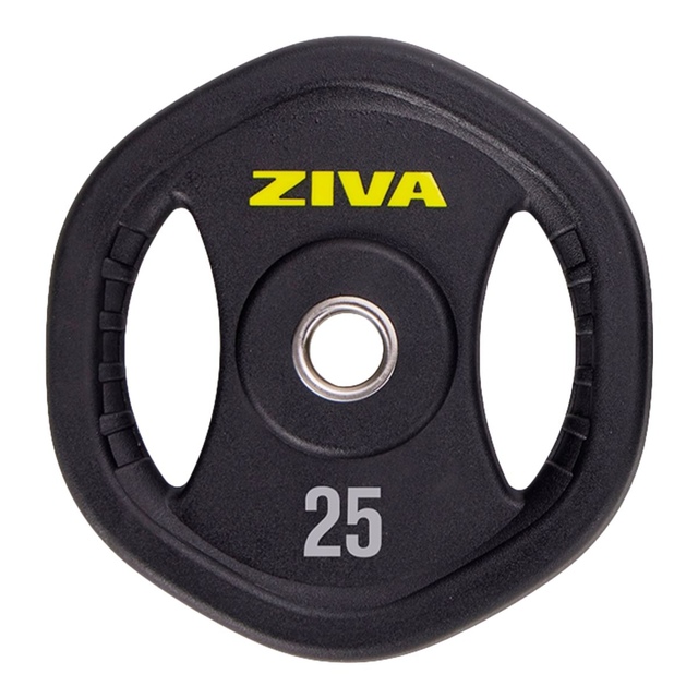 Ziva Performance 25 lb Plate, Weight, Home Gym | SportChek