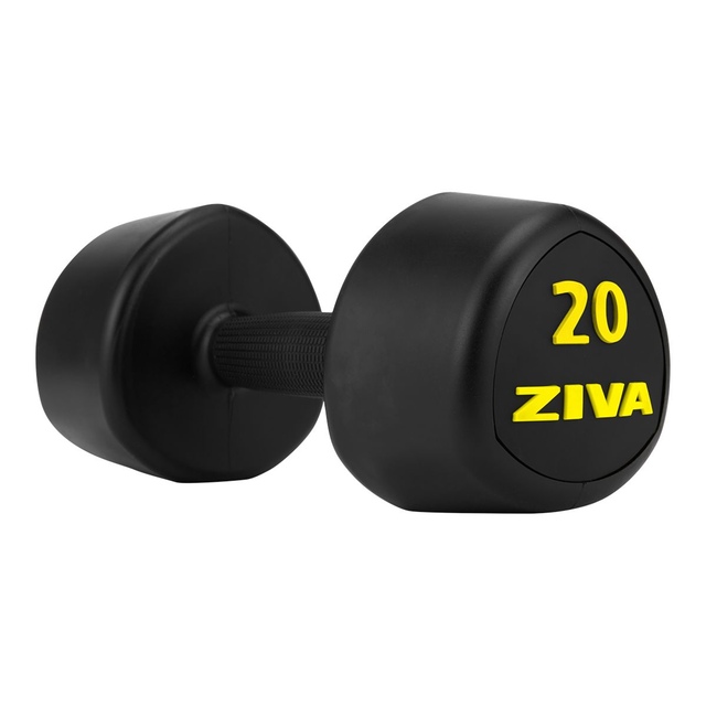 Ziva 20 lb Tribell Dumbbell, Weight, Home Gym | SportChek