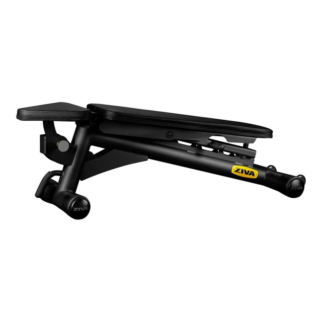 Ziva F-I-D Adjustable Bench | SportChek