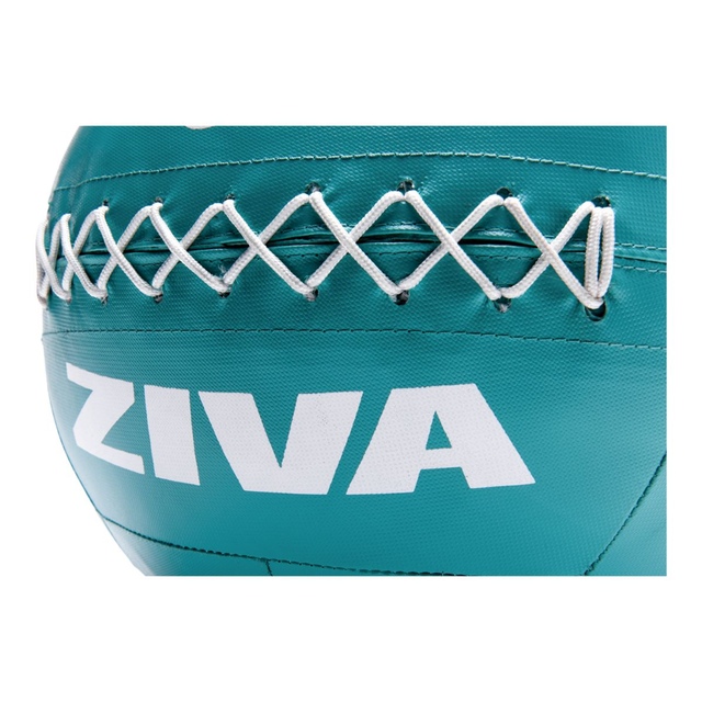 Ziva Chic 4 lb Wall Ball | SportChek