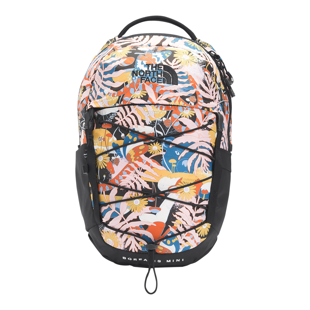 The North Face Borealis Mini 10L Backpack | SportChek