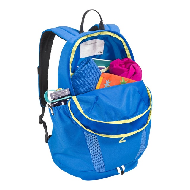 The North Face Youth Mini Recon Daypack | SportChek