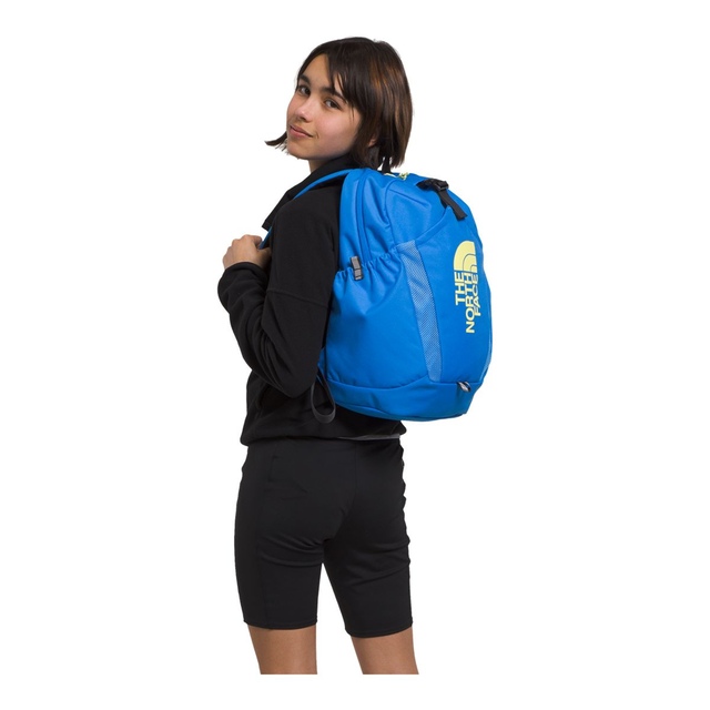 The North Face Youth Mini Recon Daypack | SportChek