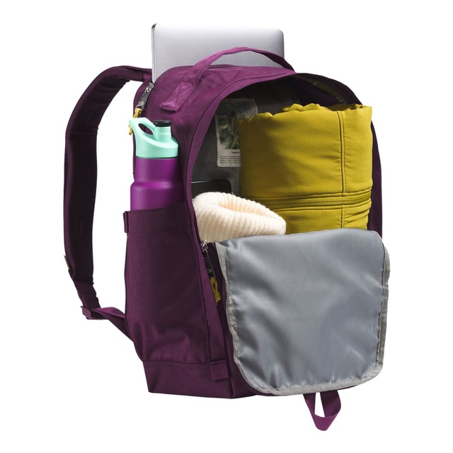 The North Face Berkeley Daypack | SportChek