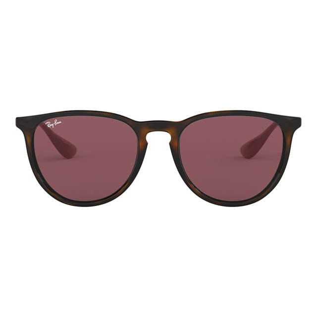 Ray Ban Erika Sunglasses | SportChek