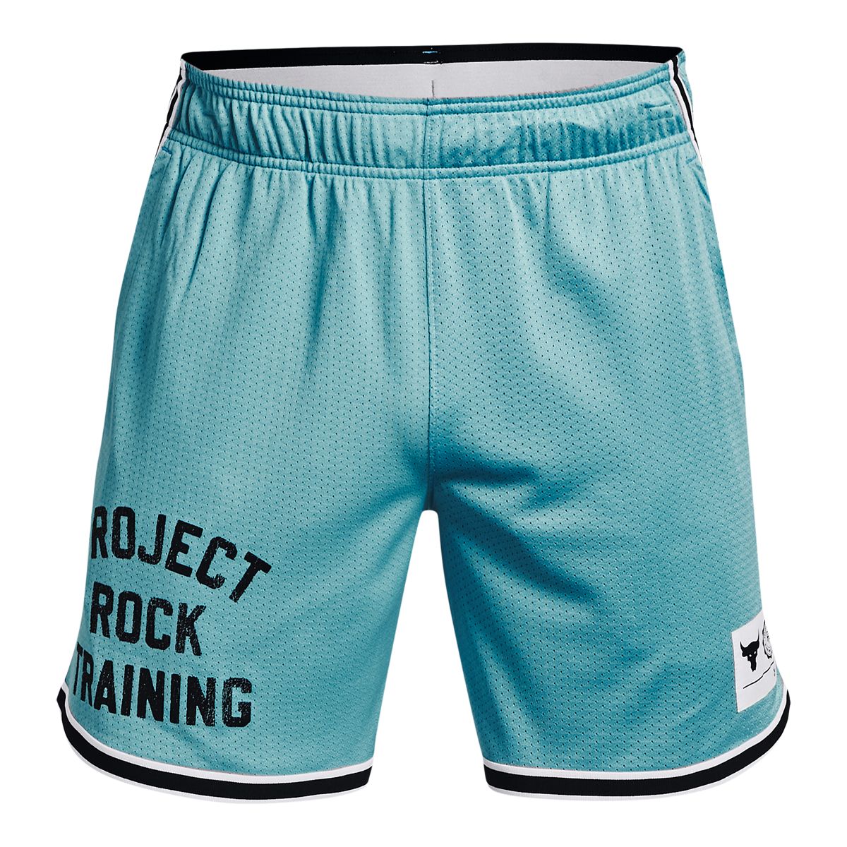 Under Armour Men's Project Rock Mesh Shorts | SportChek