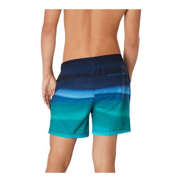 Speedo Men's Redondo Edge 17 Inch Volley Shorts | SportChek