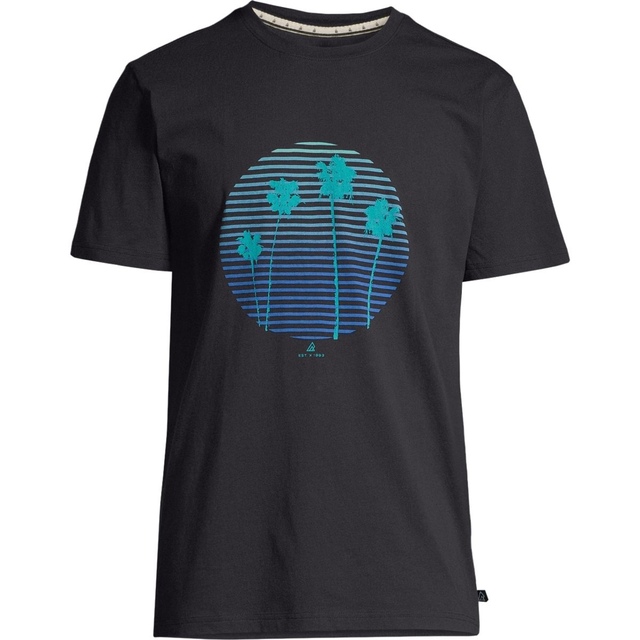 Ripzone Men's Giles T Shirt, Short Sleeve, Crew Neck, Cotton, Graphic ...