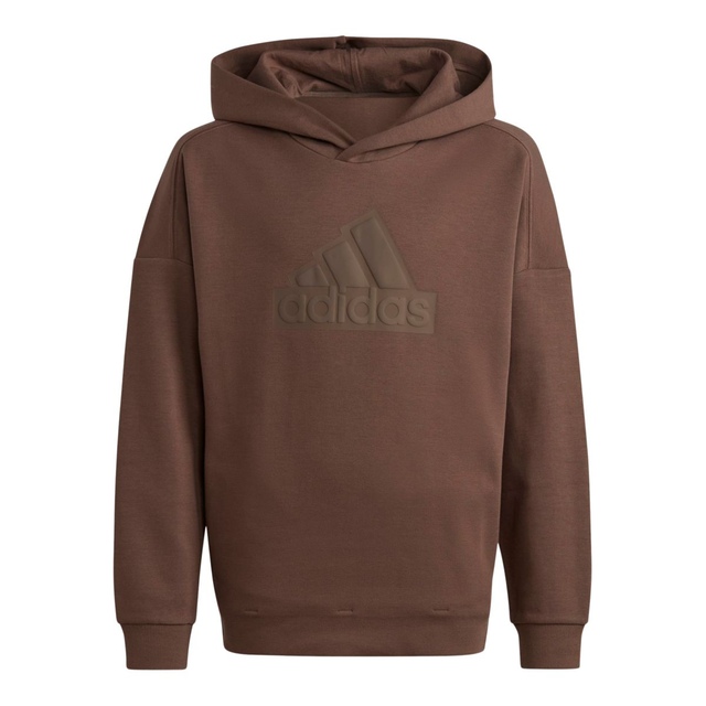 adidas Boys' FI Badge Of Sport Logo Pullover Hoodie | SportChek