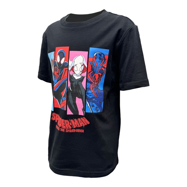 Character Boys' Spiderverse Graphic T Shirt | SportChek