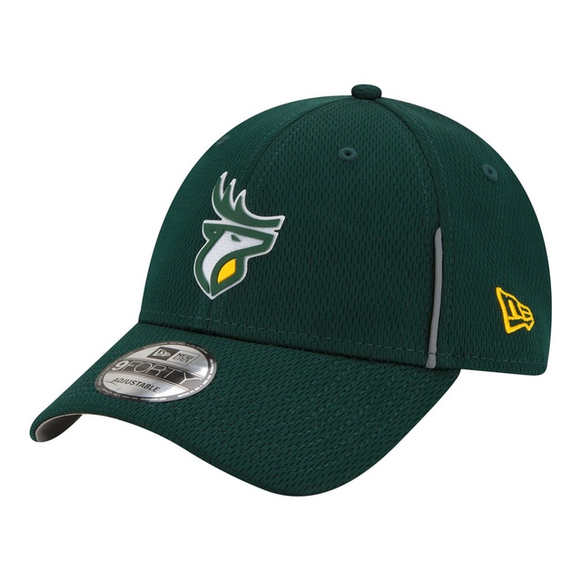 Edmonton Elks New Era Sideline 22 9FORTY Adjustable Hat, CFL, Football ...