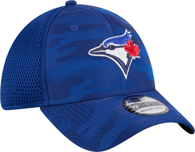 Youth Toronto Blue Jays New Era Camo 39THIRTY Cap | SportChek