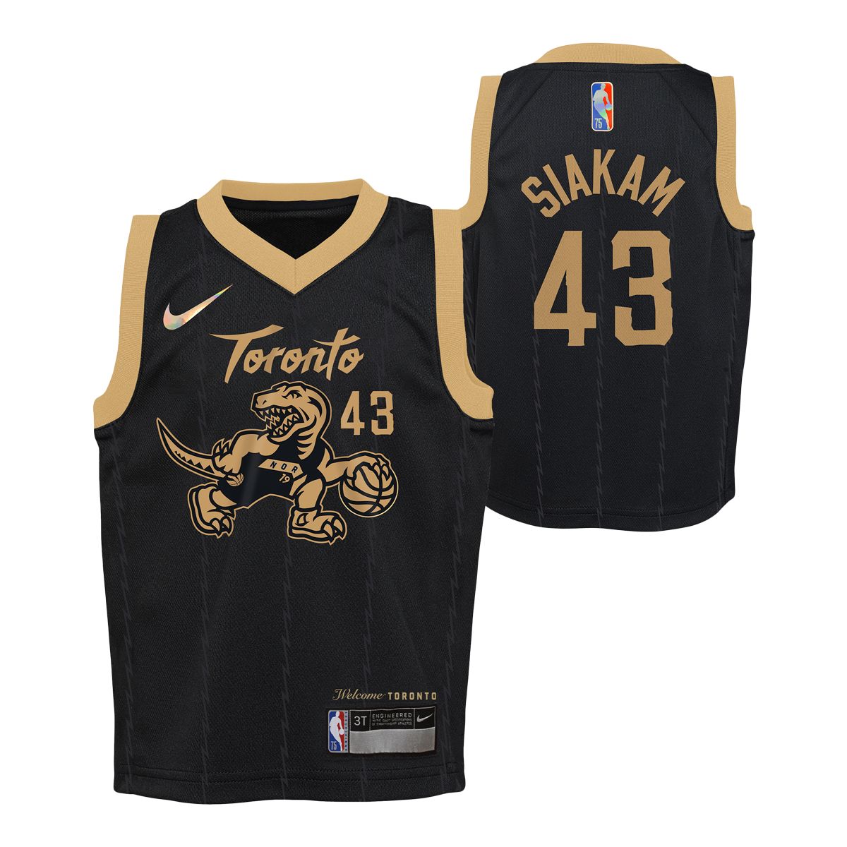 Toronto Raptors Nike Toddler Pascal Siakam City Edition Basketball ...