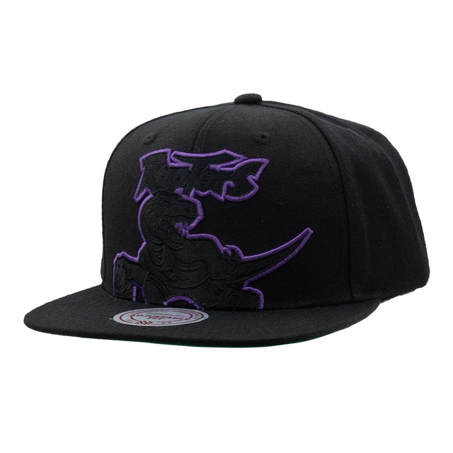 Toronto Raptors Mitchell & Ness Hardwood Classics Dynamic Snapback Cap ...