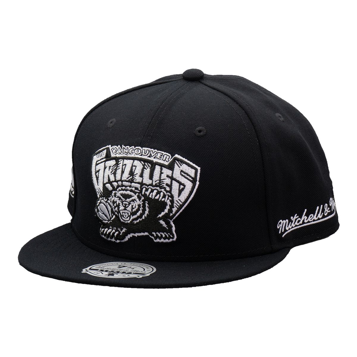 Vancouver Grizzlies Mitchell & Ness HWC Dem Stripes Cap | SportChek