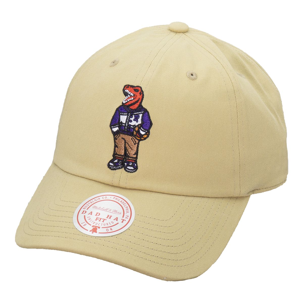 Toronto Raptors Mitchell & Ness Seasonal Swag Dad Cap | SportChek