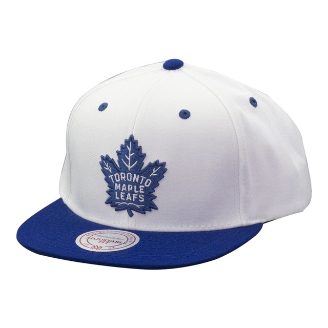 Toronto Maple Leafs Mitchell & Ness Team Ground 2 Pro Snapback Cap ...