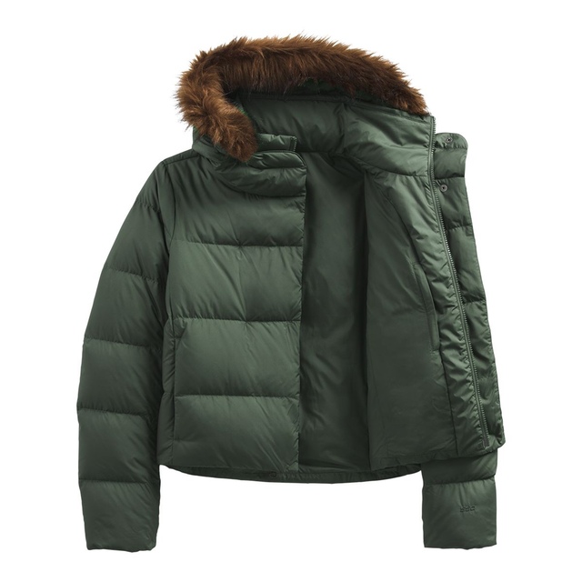 The North Face Women's Dealio Parka | SportChek