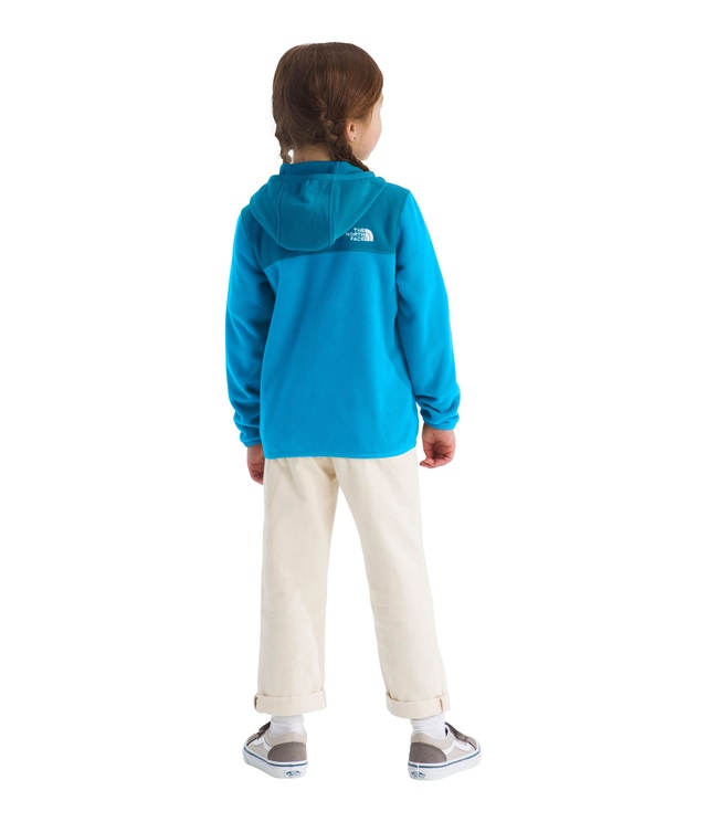 The North Face Toddler Kids' Glacier Full Zip Hoodie | SportChek