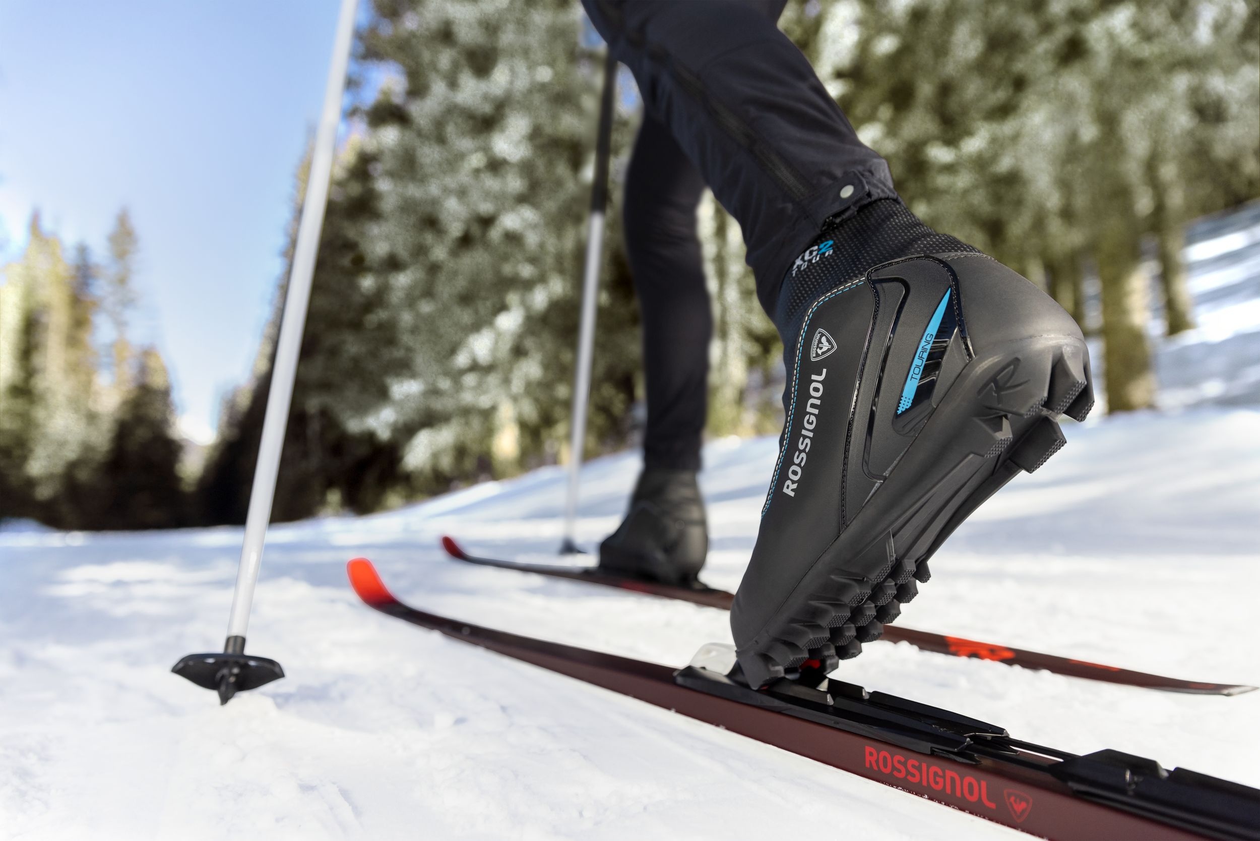 Rossignol Evo XT 55 Positrack Skis | SportChek