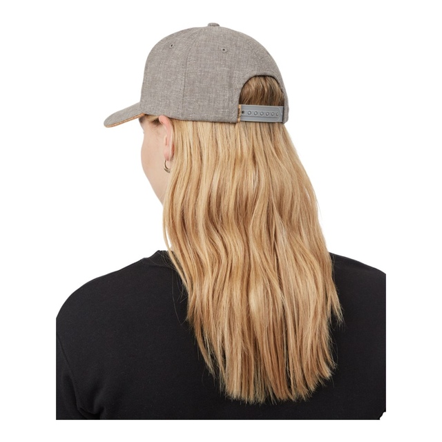 tentree Hemp Elevation Snapback Hat | SportChek