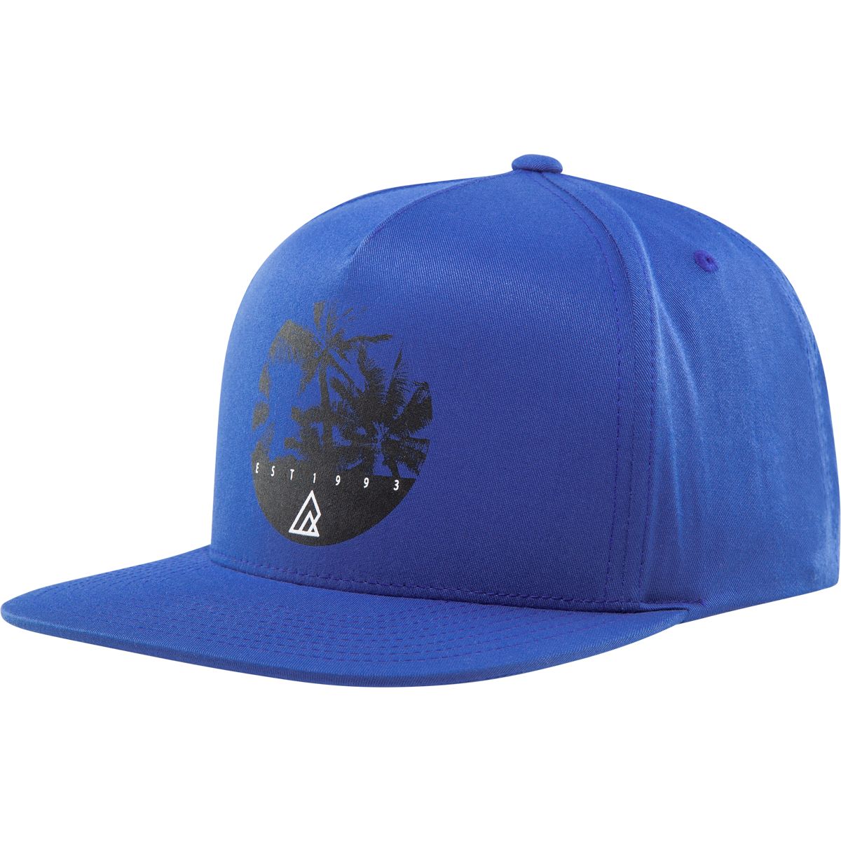 Ripzone Men's Byron Classic Snapback Hat | SportChek