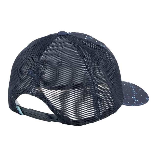 PUMA Golf Men's Rochester P Cap | SportChek