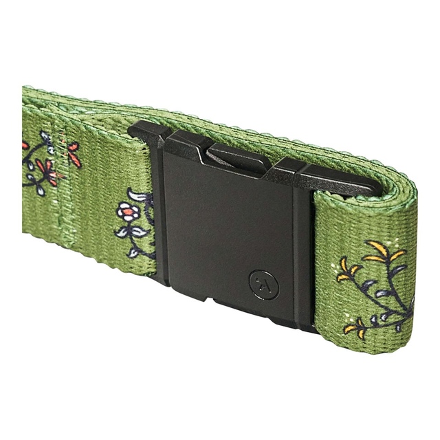 Arcade Men's Eye In The Sky Slim Belt | SportChek