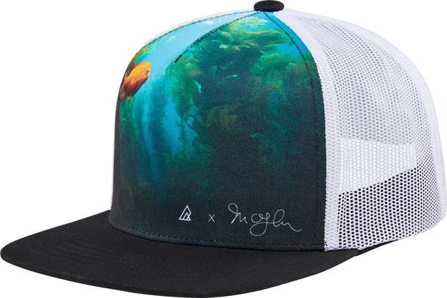 Ripzone Boys' Colin Trucker Snapback Hat | SportChek